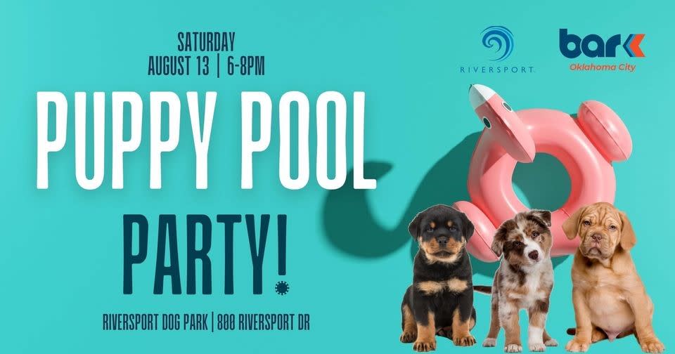 Puppy Pool Party with Bar K