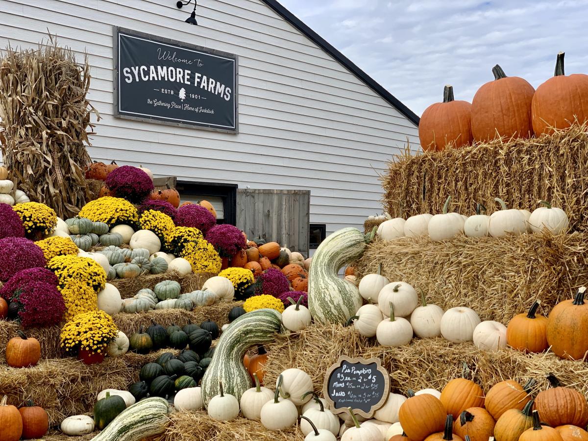 10 Fall Activities In Omaha, NE | Things To Do This October