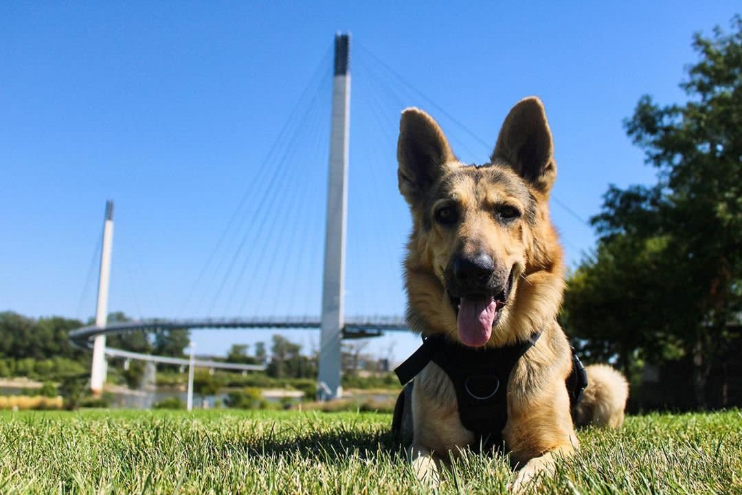 Bob Bridge Vlog | 3,000 foot Bridge Videos |Visit Omaha