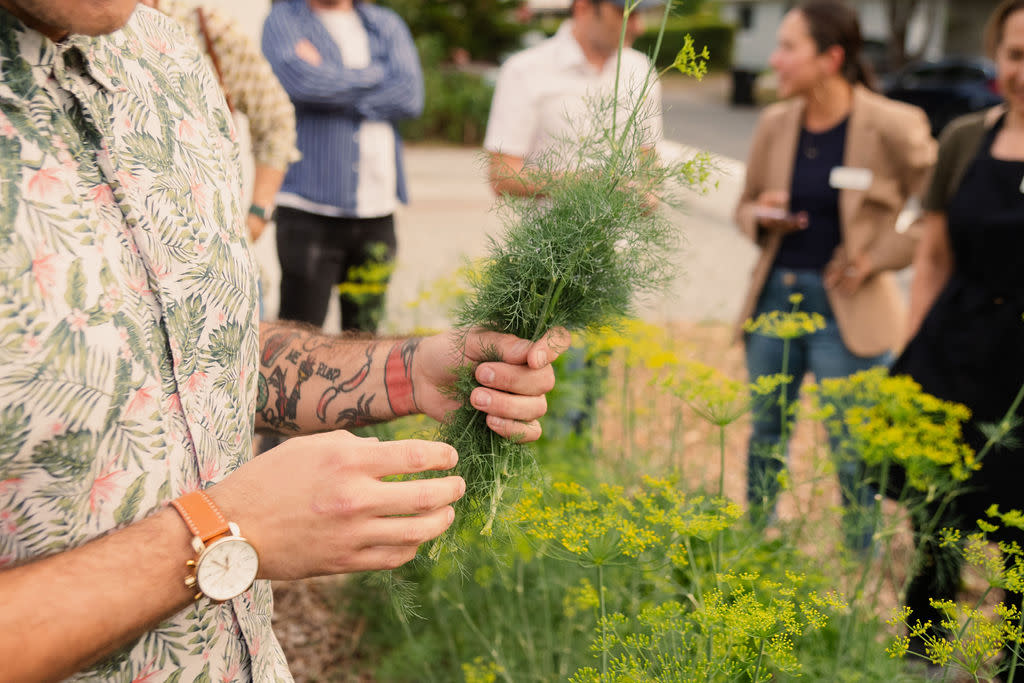 Orlando Cooking Classes | Farm-to-Table Experiences - NewsyList