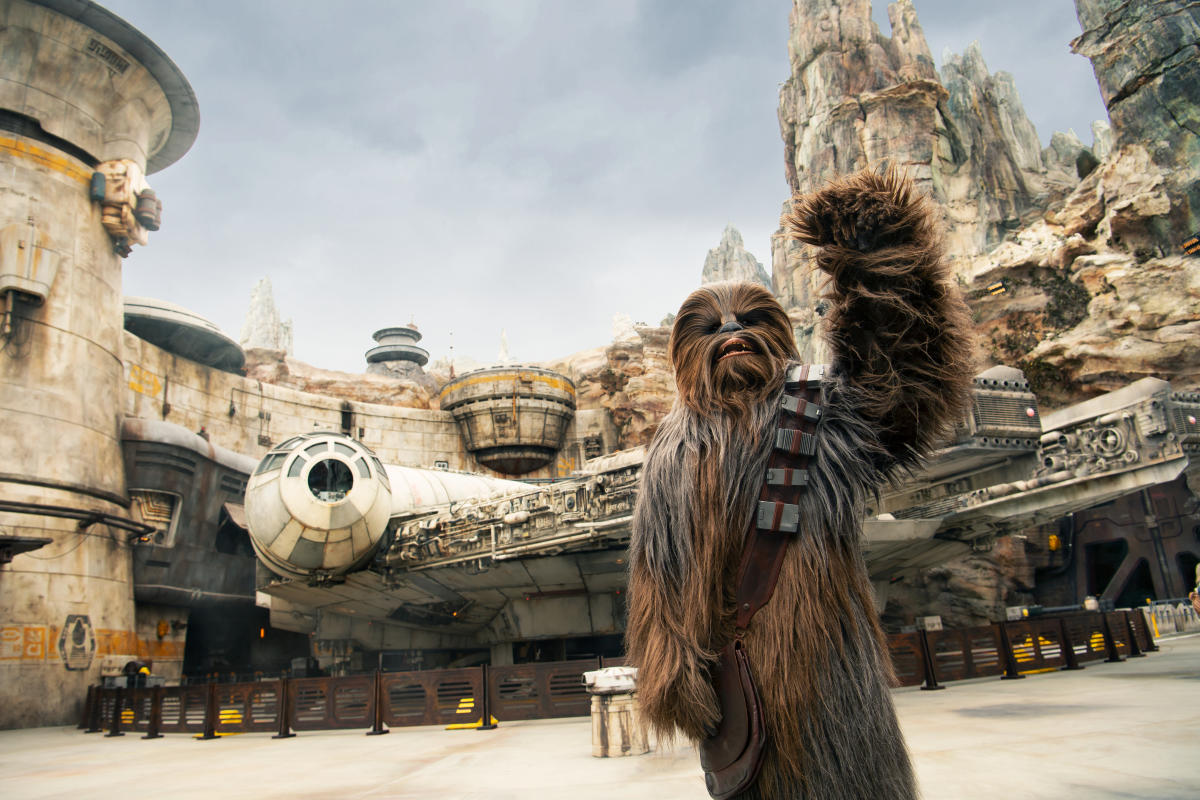 Disney's hollywood studios store