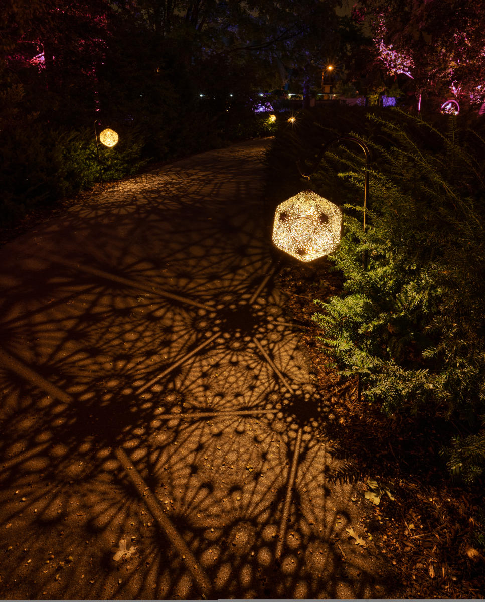 The Nature of Light