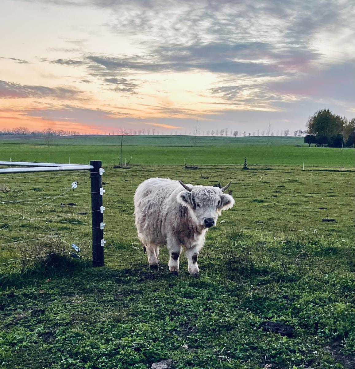 The Highland Farmhouse