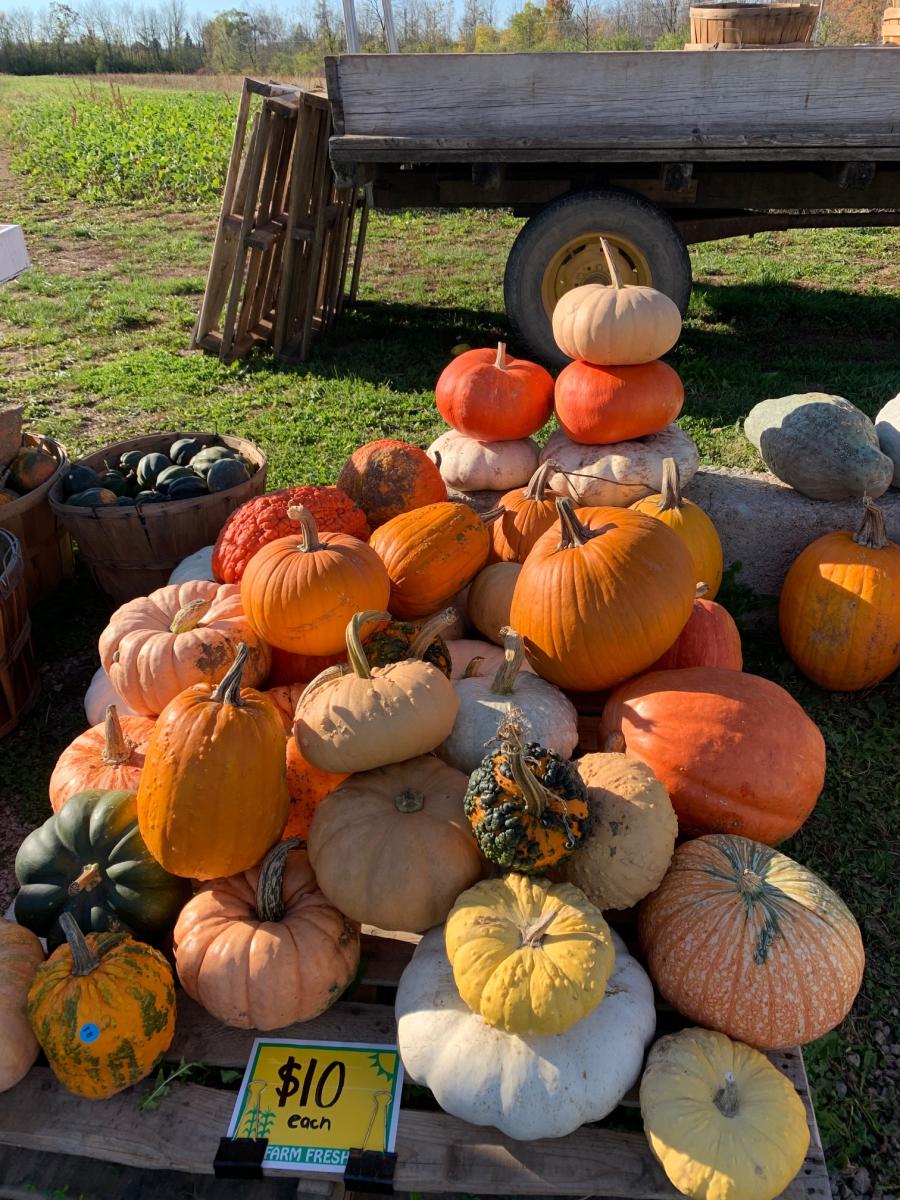 Fall Festivities in Oshkosh