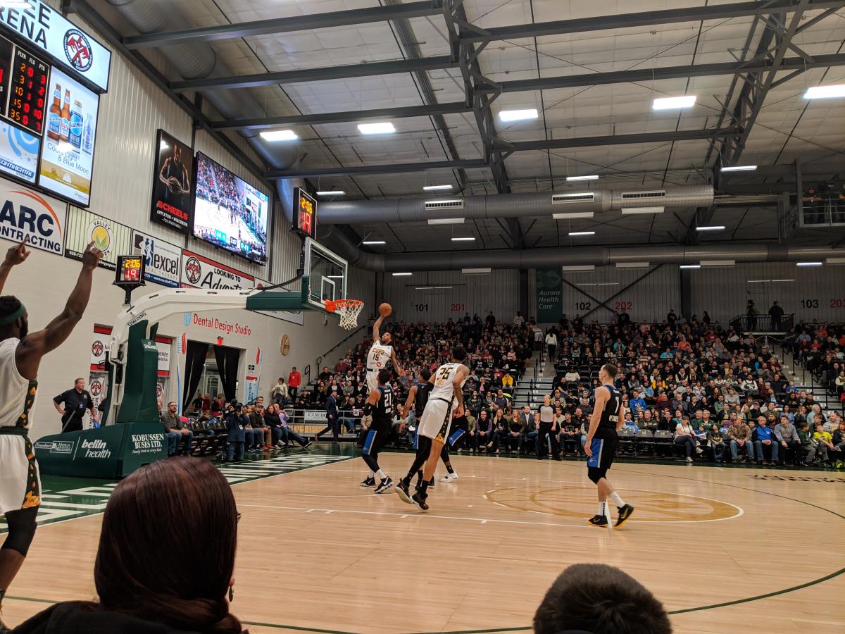 Wisconsin Herd | Discover Oshkosh