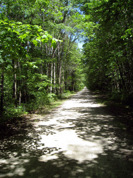 Discover the Wiouwash State Trail this Spring