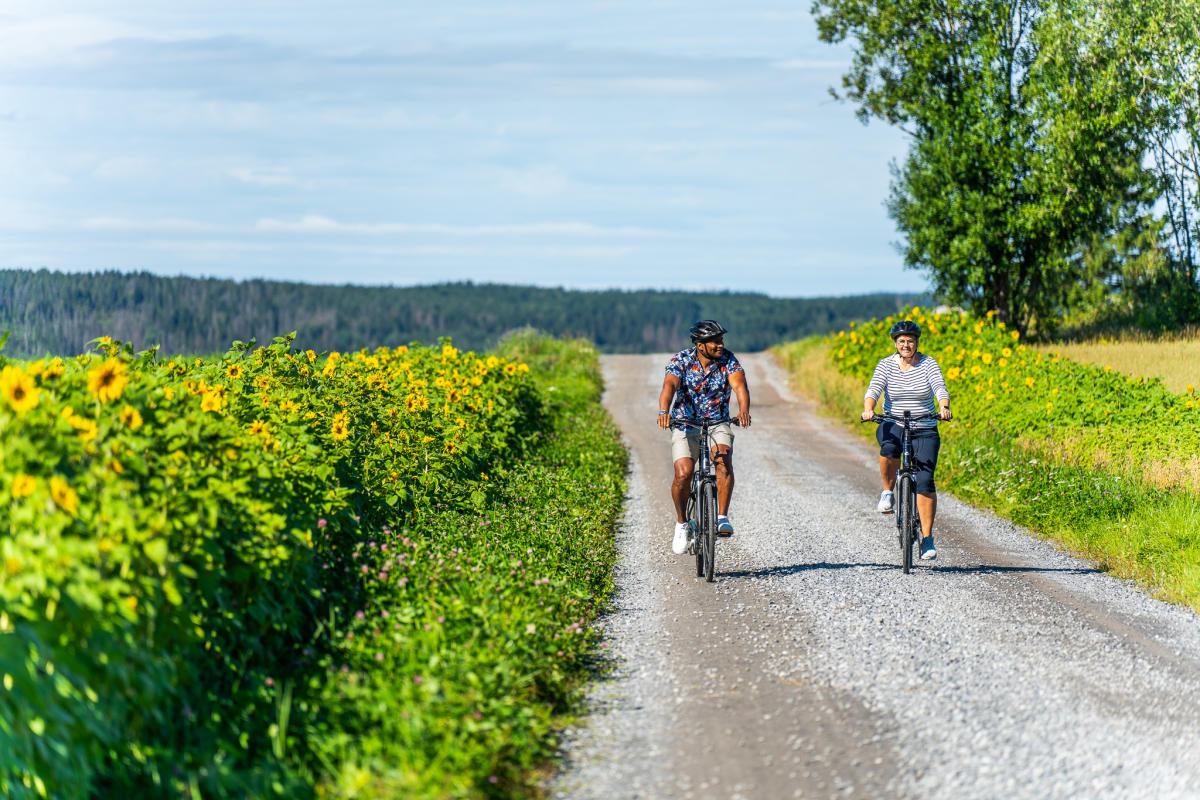 Indre Østfold kommune