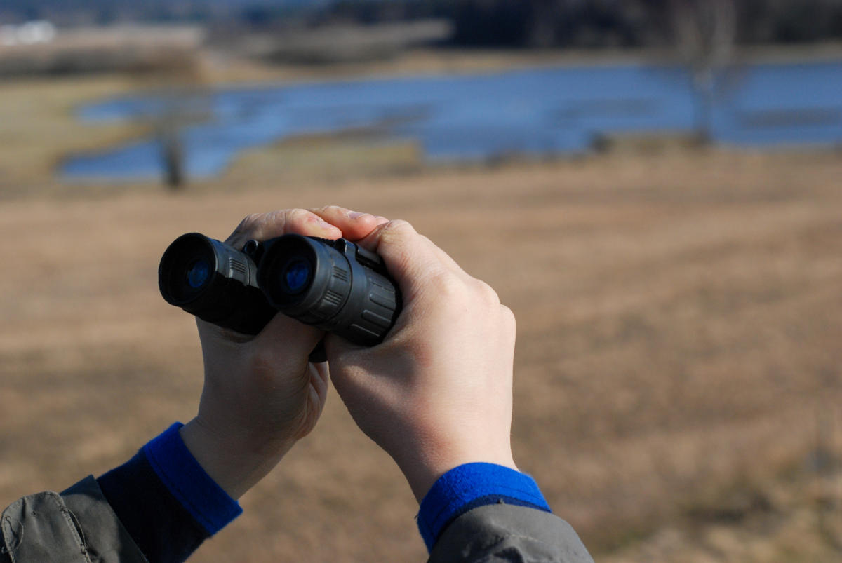 Visit Indre Østfold - Fugletårn