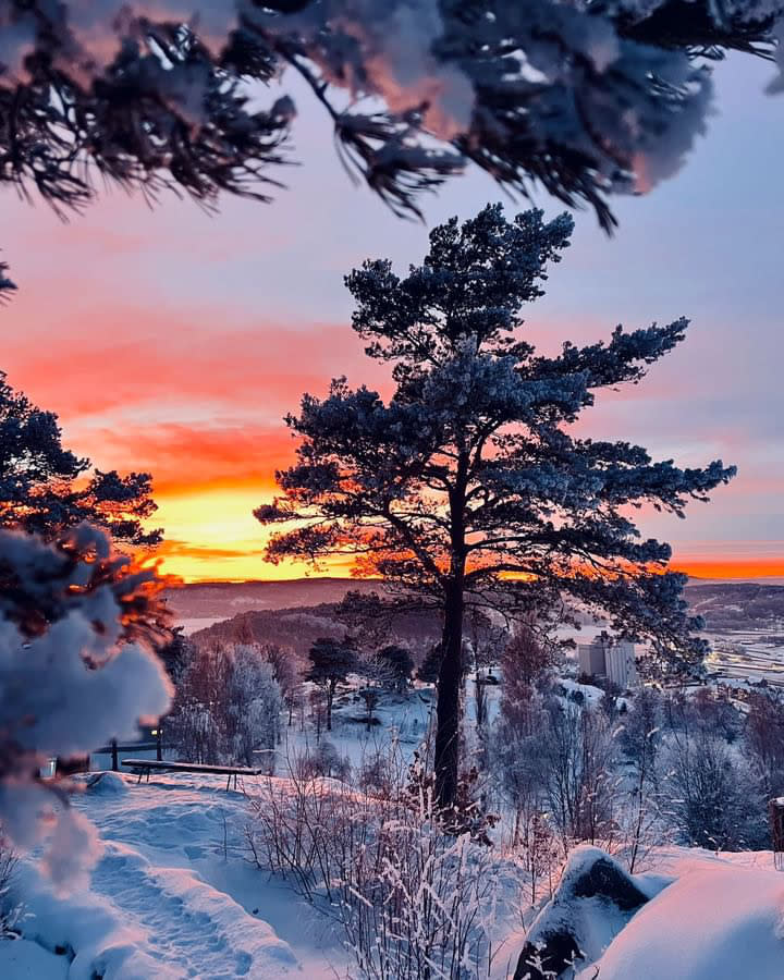 Natur Vinter Soloppgang Nå Går Det Mot Vinter Igjen Vigga.no