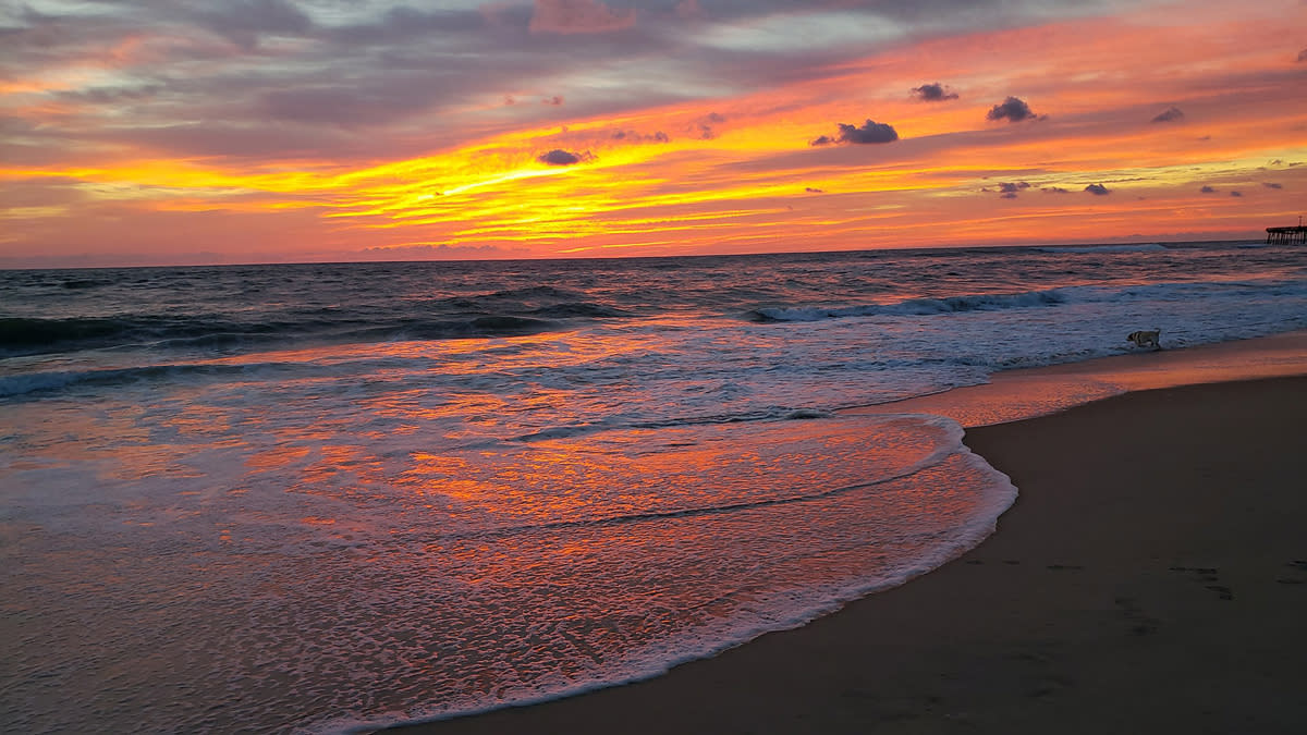13 Best Outdoor Activities for Boomers in the Outer Banks