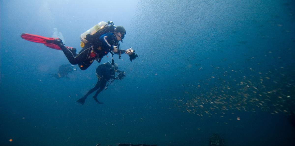 Diving