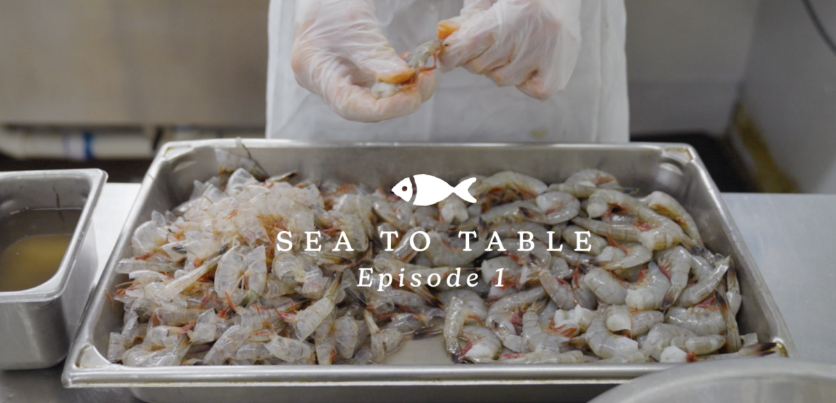 Episode 1 - Sea to Table