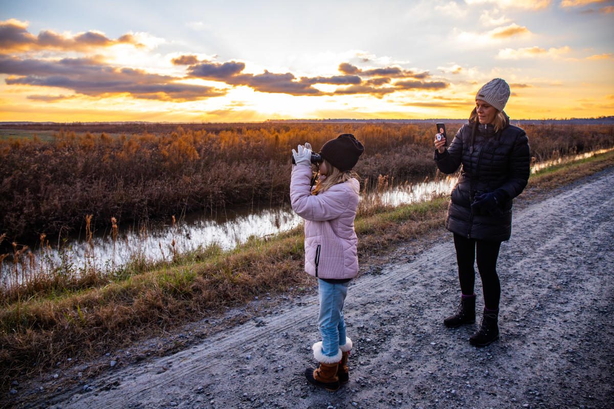 Why Bird Watching on the Outer Banks is a Memorable Experience
