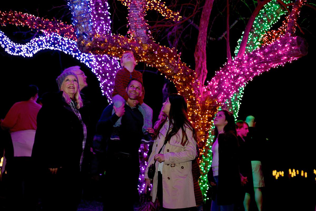 Key Events in Overland Park | Luminary Walk