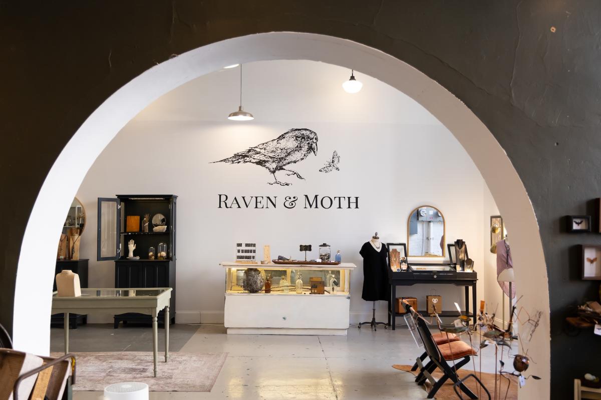 The Evolution of Raven & Moth