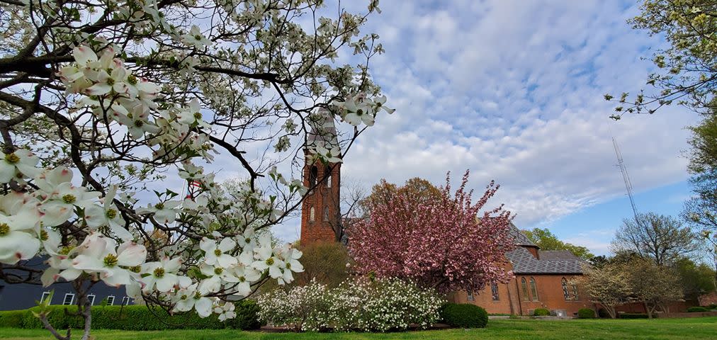 Springtime in Paducah, Kentucky: Blooms & Bright Spots
