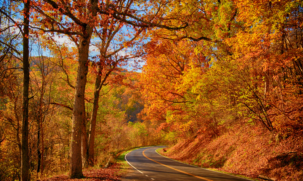 Fall in Page Valley | Autumn Adventures in Virginia