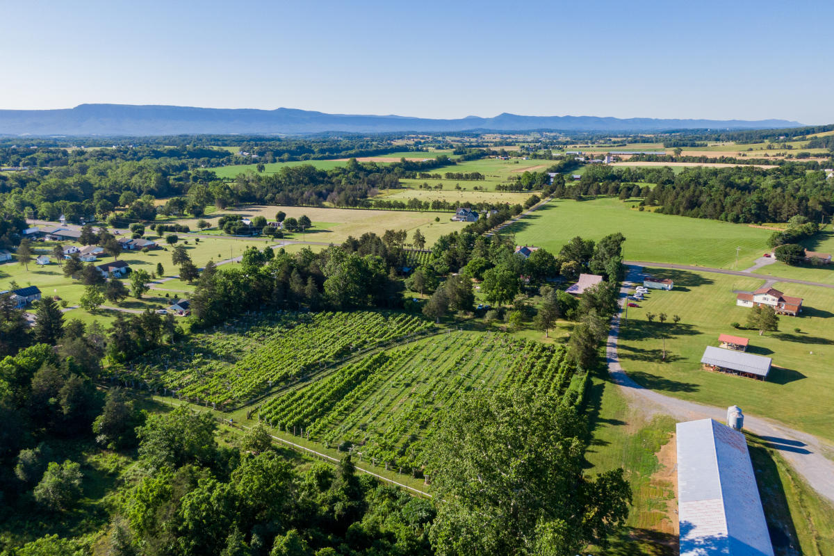 Blue Ridge Whisky Wine Loop | Page Valley Adventures