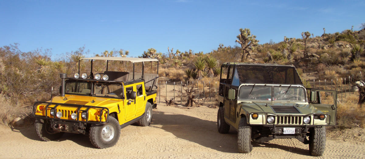 The Best Guided 4x4 Tours in the California Desert