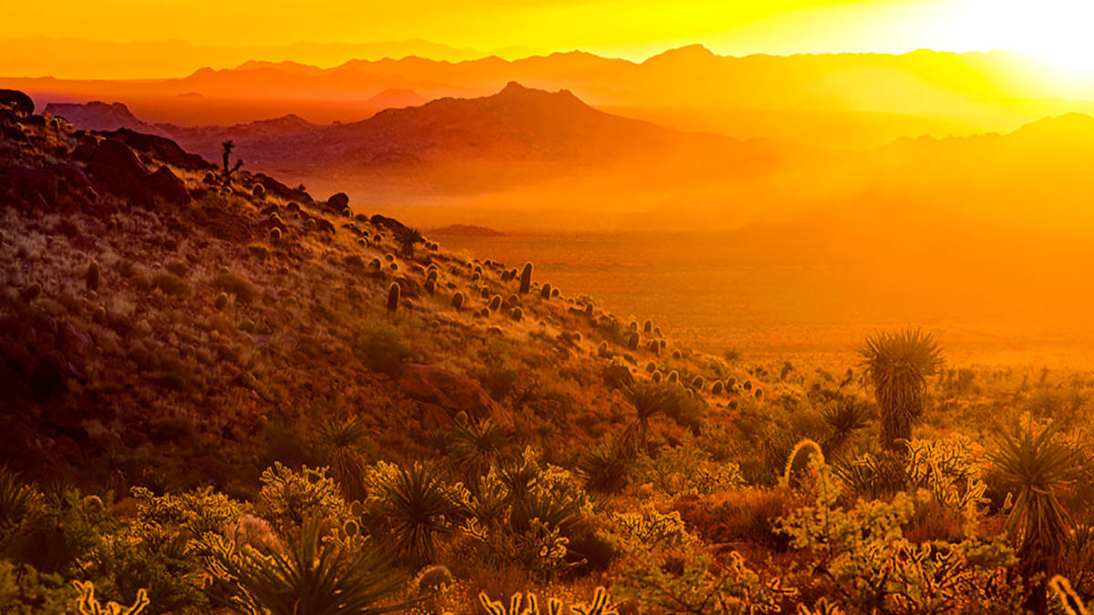 Mitchell Caverns: A Grand Mojave Adventure Re-Opens