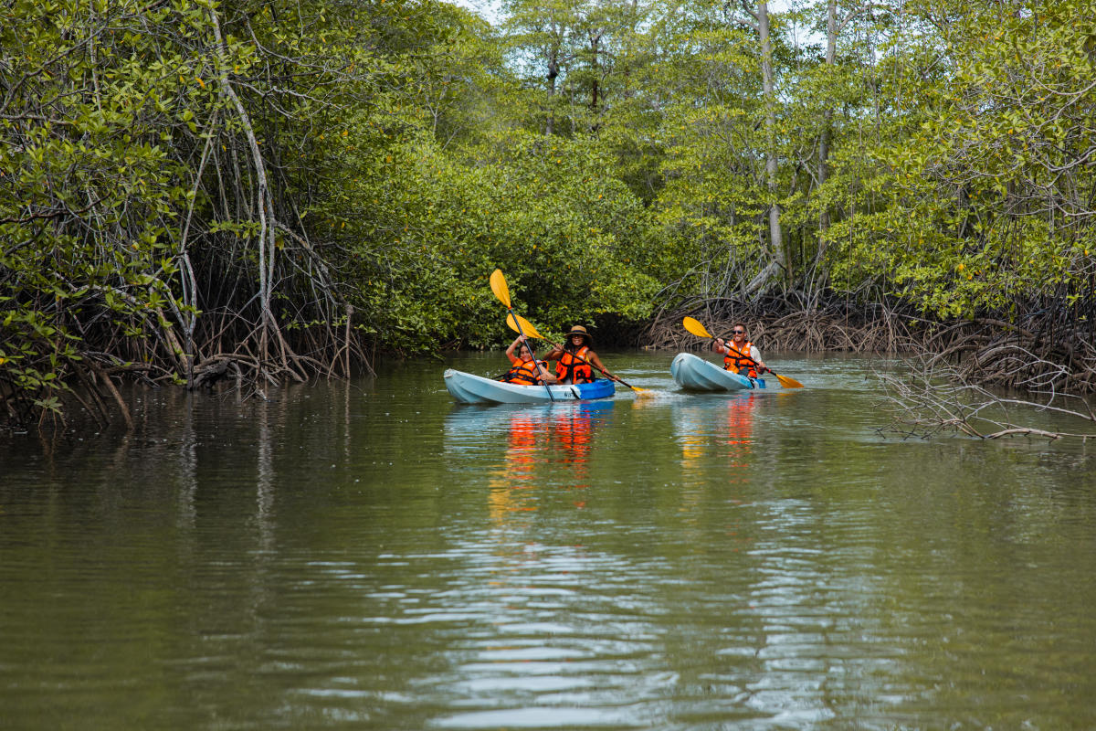 Discover Community-Based Tourism in Panamá: Nature, Culture, and Adventure