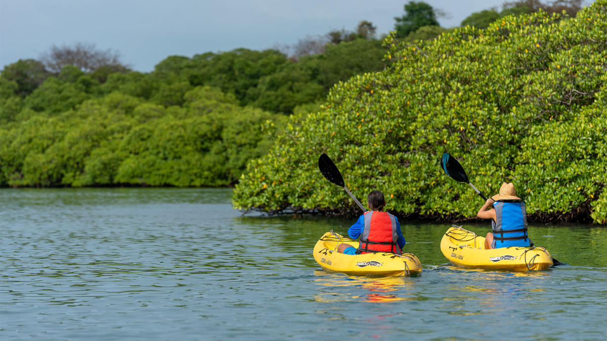 History, Culture & Nature Tours | Portobelo Experiences