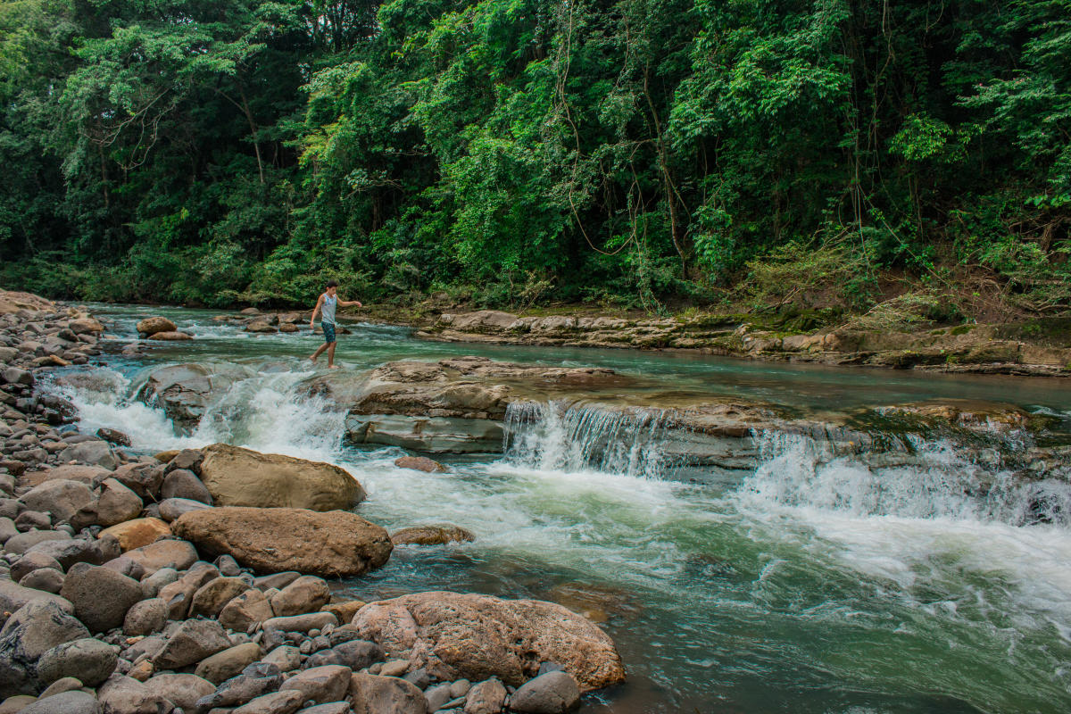 Natureza do Panamá | Floresta Tropical & Ecoturismo