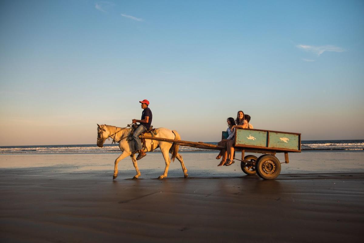 Rural & Agritourism in Panama | Food & Tour Plantations