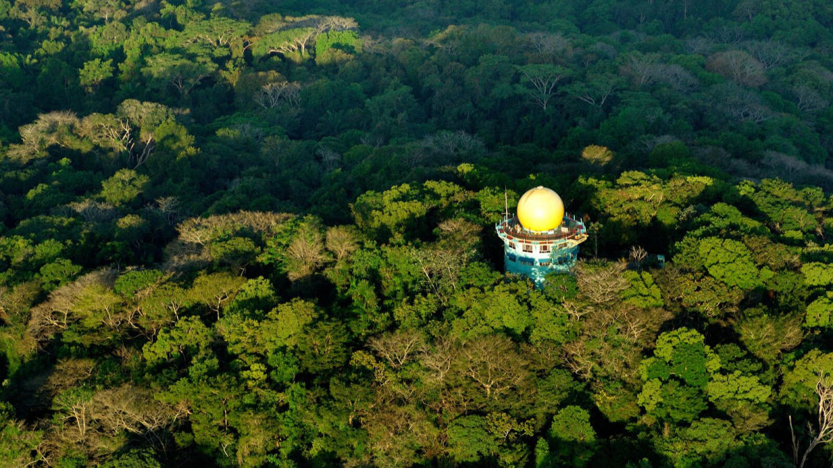 Bird Watching in Panama | Macaws, Parrots & Toucans