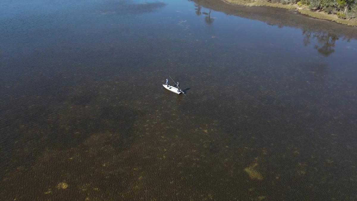 February Fishing Report