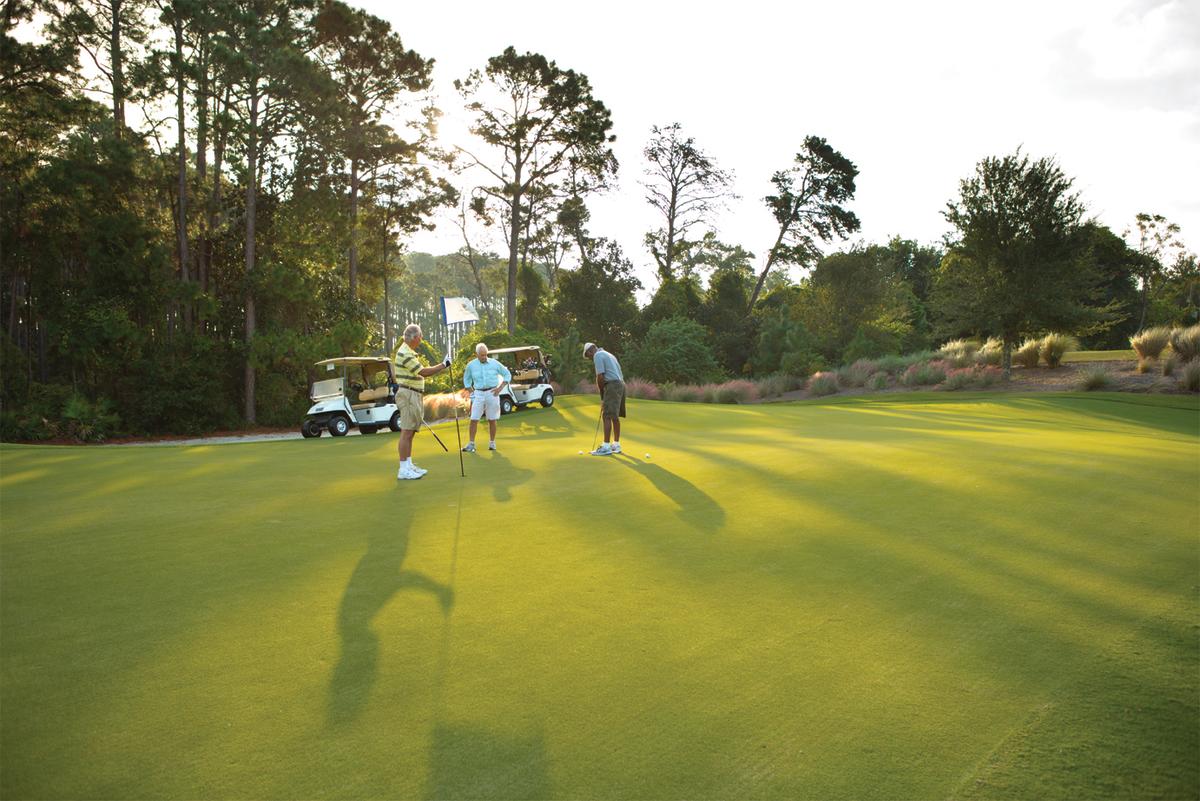 Where to Play Golf in Panama City Beach | Golf Courses, Mini Golf