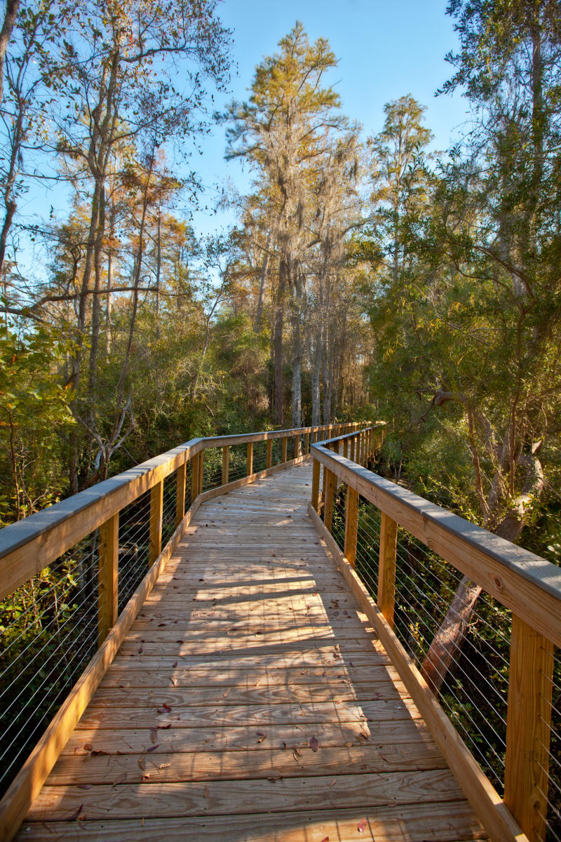 Panama City Beach Conservation Park | Things To Do