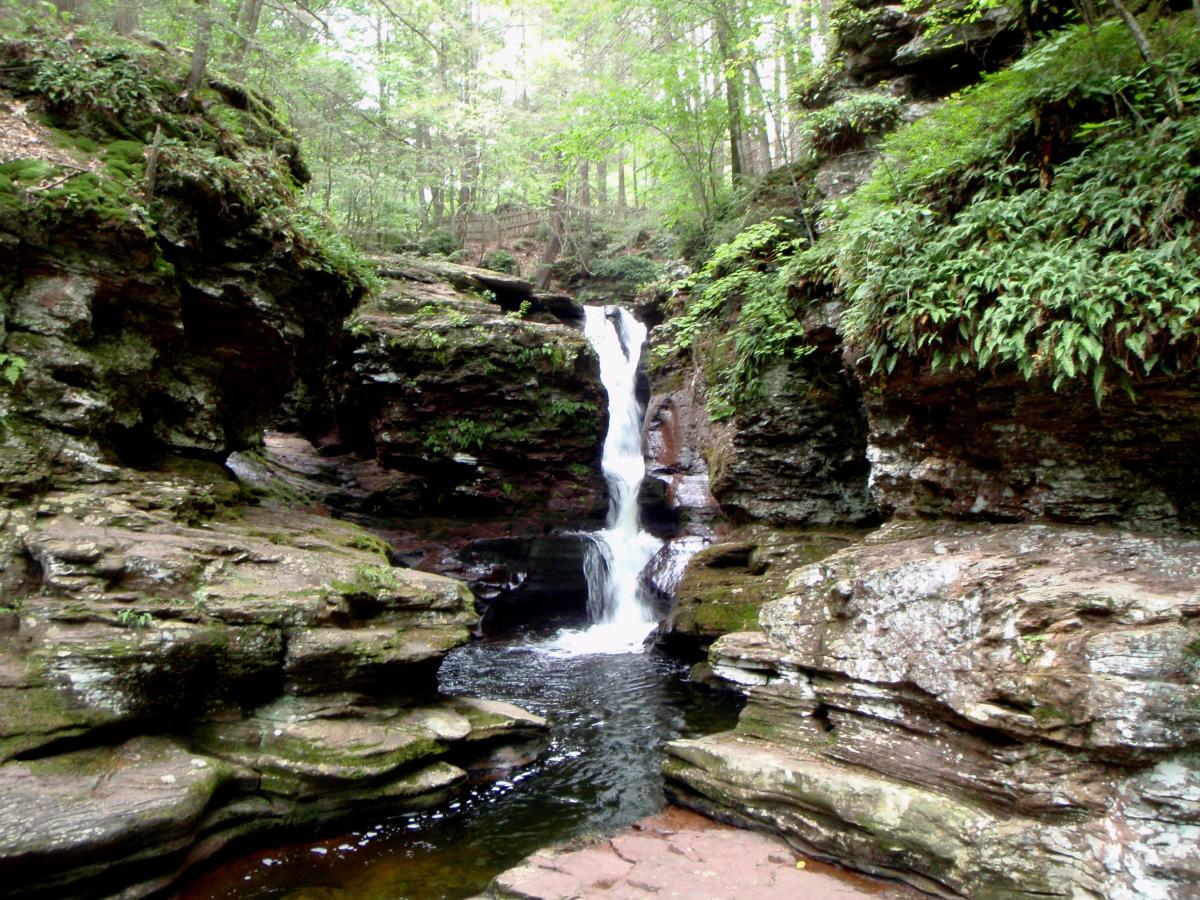 State Parks & Forests in Pennsylvania