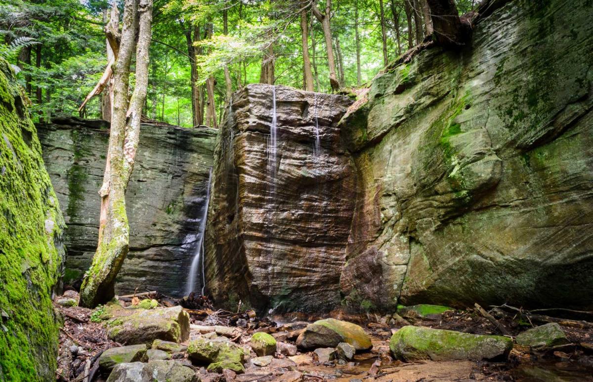 Allegheny National Forest