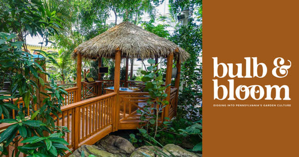 Tropical Staycation