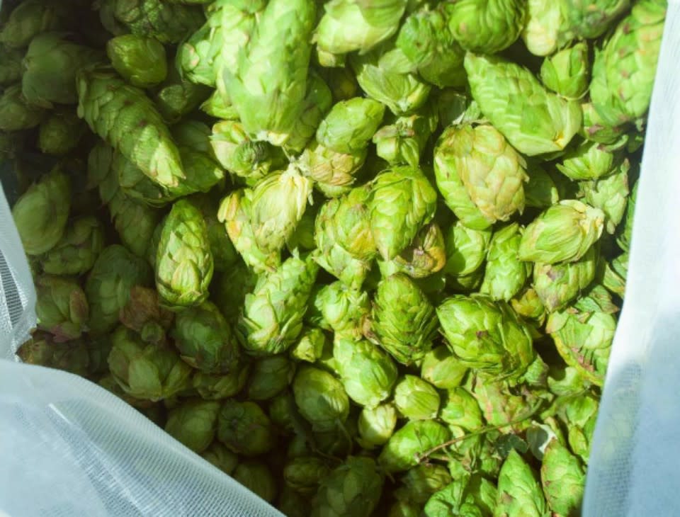 4 Fall Beer Styles You Need to Drink