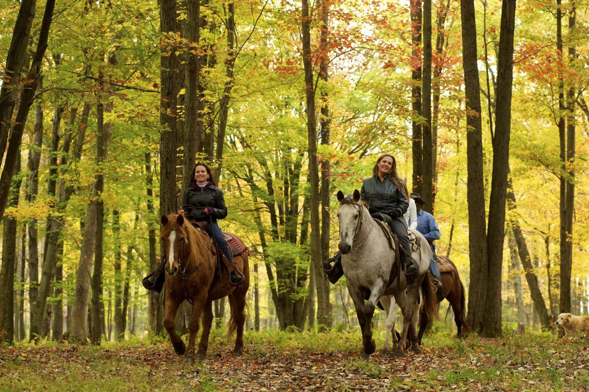 Horseback Riding in Pennsylvania