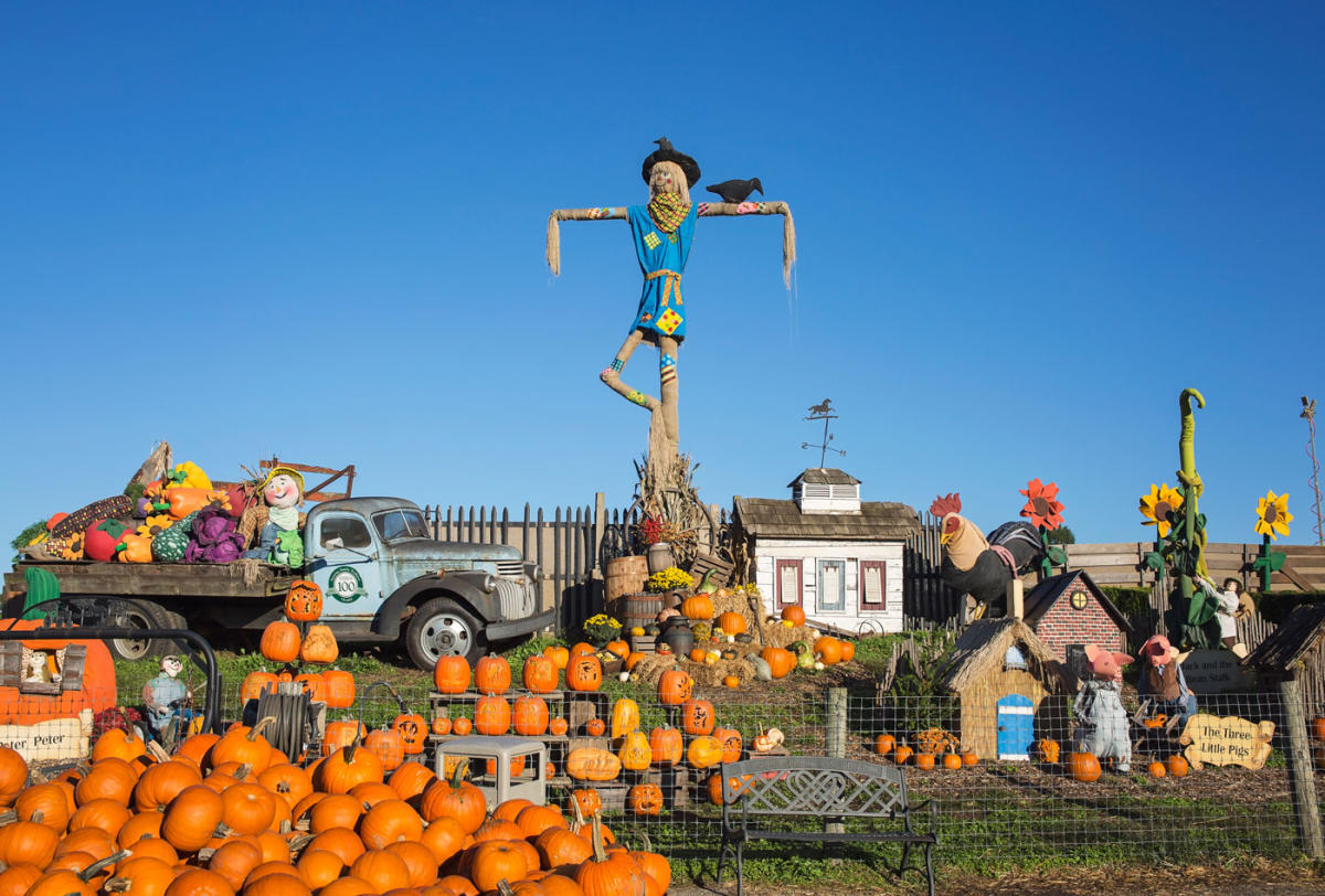 Fall Festivals in Pennsylvania