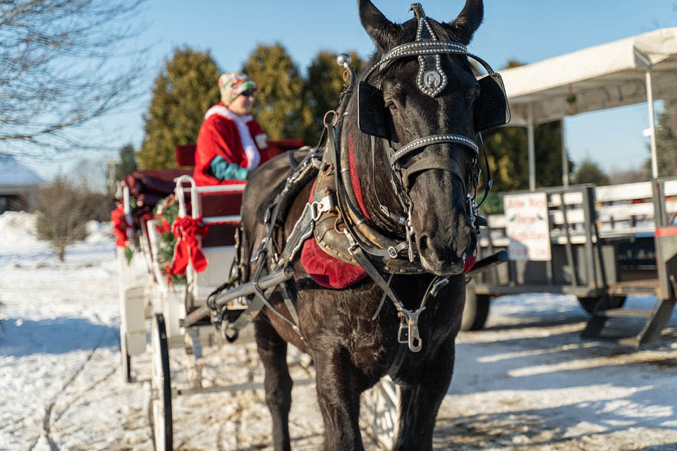 Must-Attend Holiday Events and Festivals in Pennsylvania