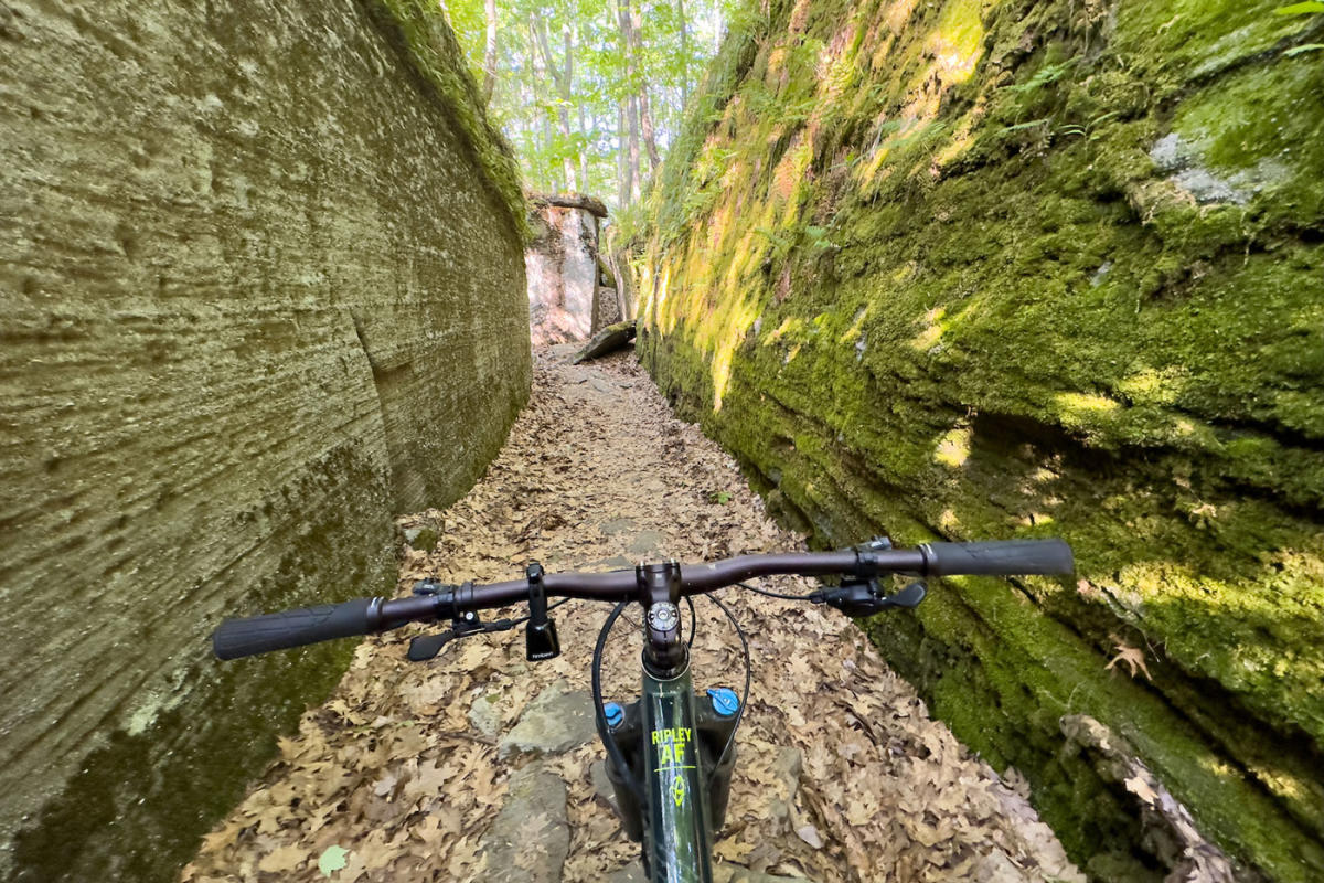 Best Hiking Trails in Pennsylvania | Outdoor Adventures