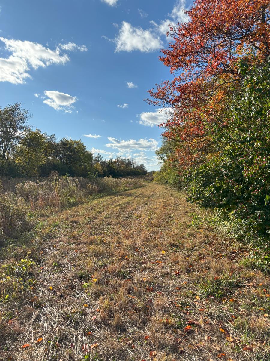 Top Things To Do This November