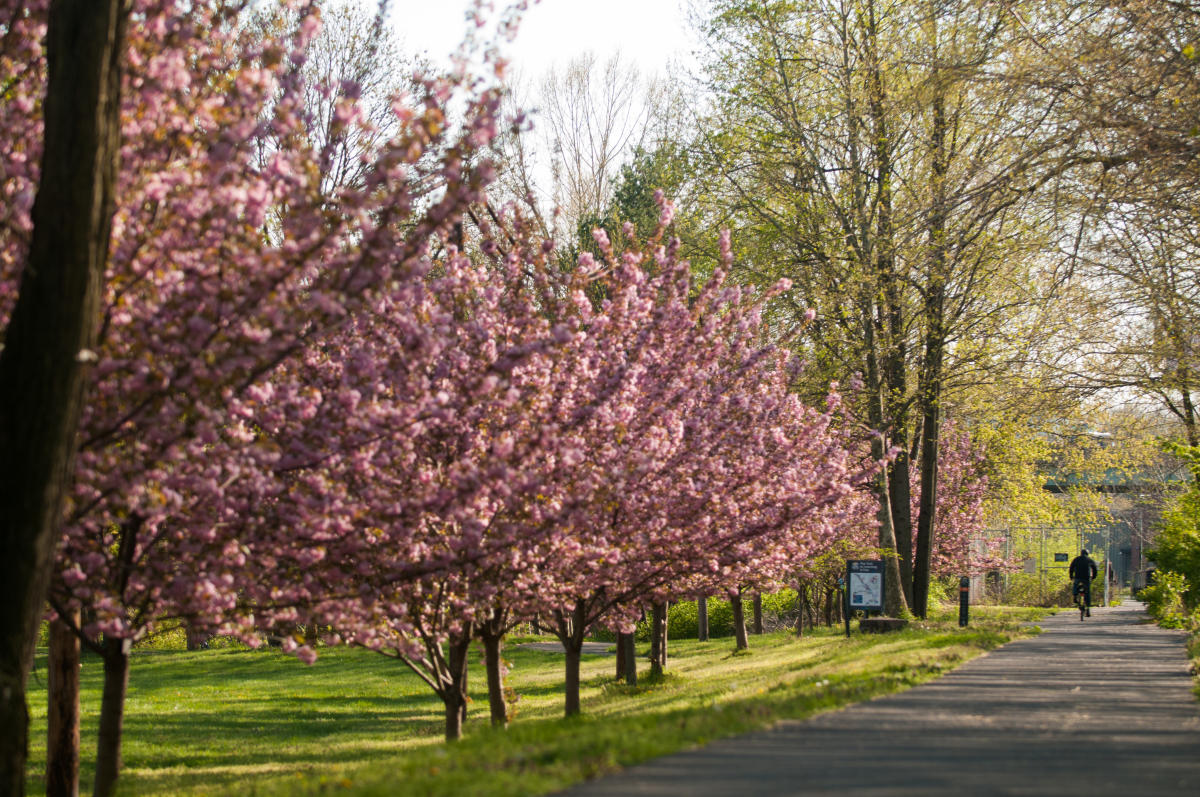 Let's Go Local Spring