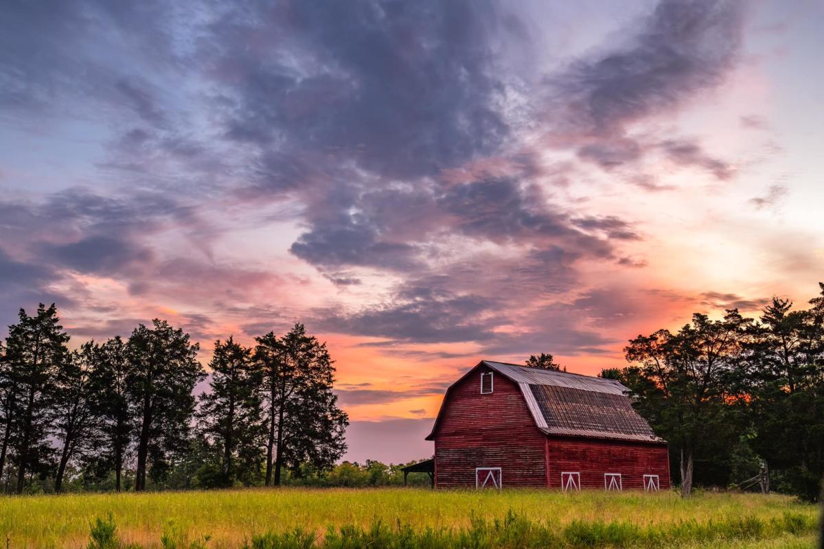 Farm City Week 2025