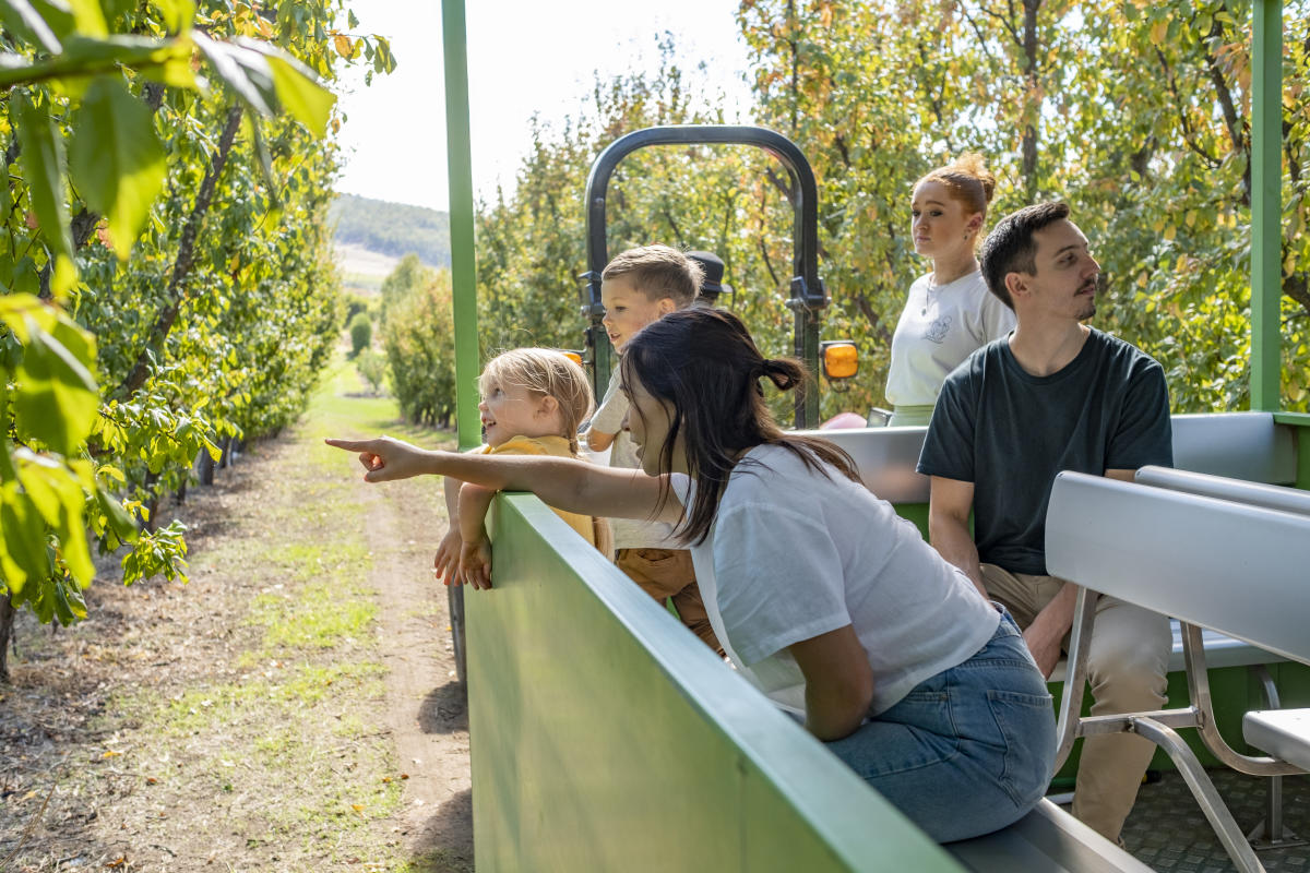Best Places to Pick Your Own Fruit in Perth | Destination Perth