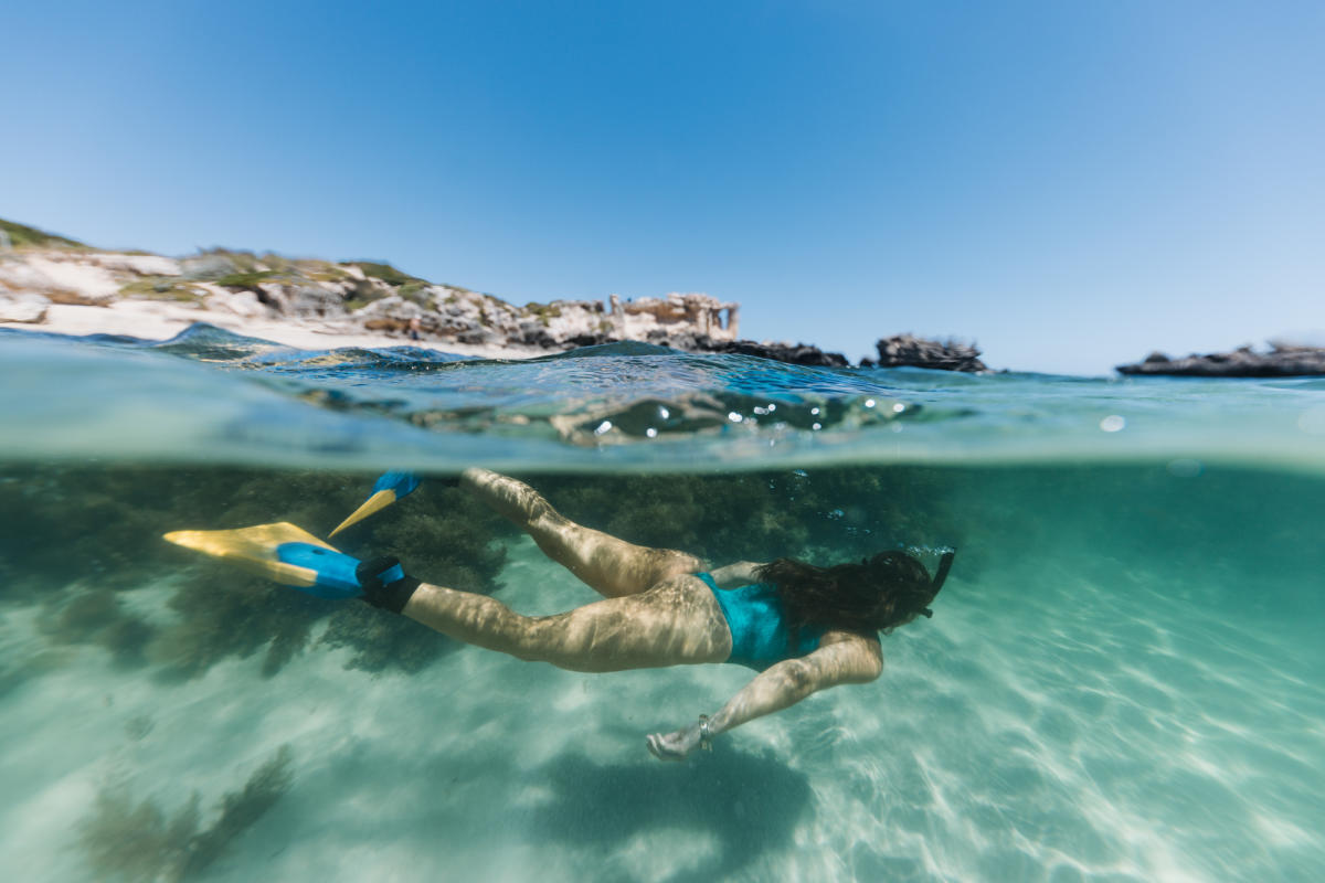 Aquatic Adventures for the Perfect Rockingham Day Trip | Destination Perth