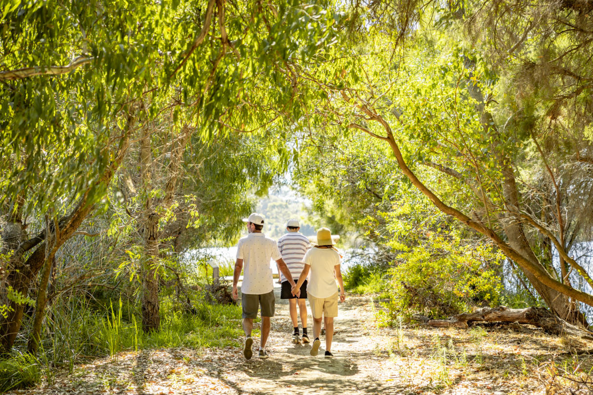 Step into the 10 Best Hikes and Nature Trails on the Sunset Coast