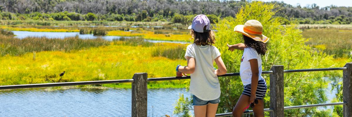 Explore the Natural Wonders of Yanchep National Park