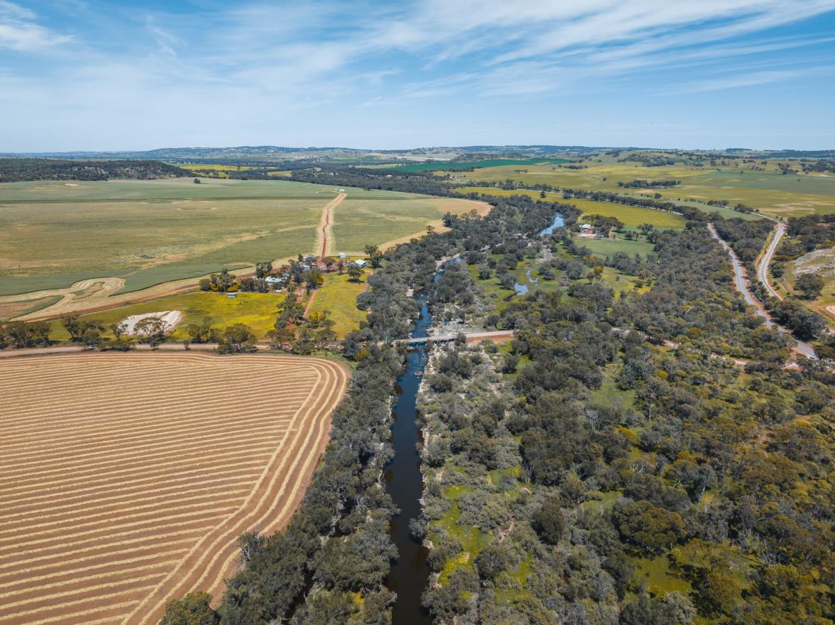 Avon Valley Calling: Caravan Stops for Nature Enthusiasts and History Buffs