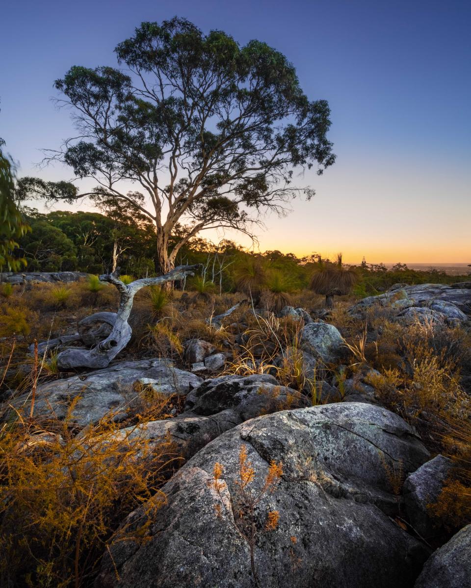 Things To Do In Kalamunda | Activities, Attractions & Events
