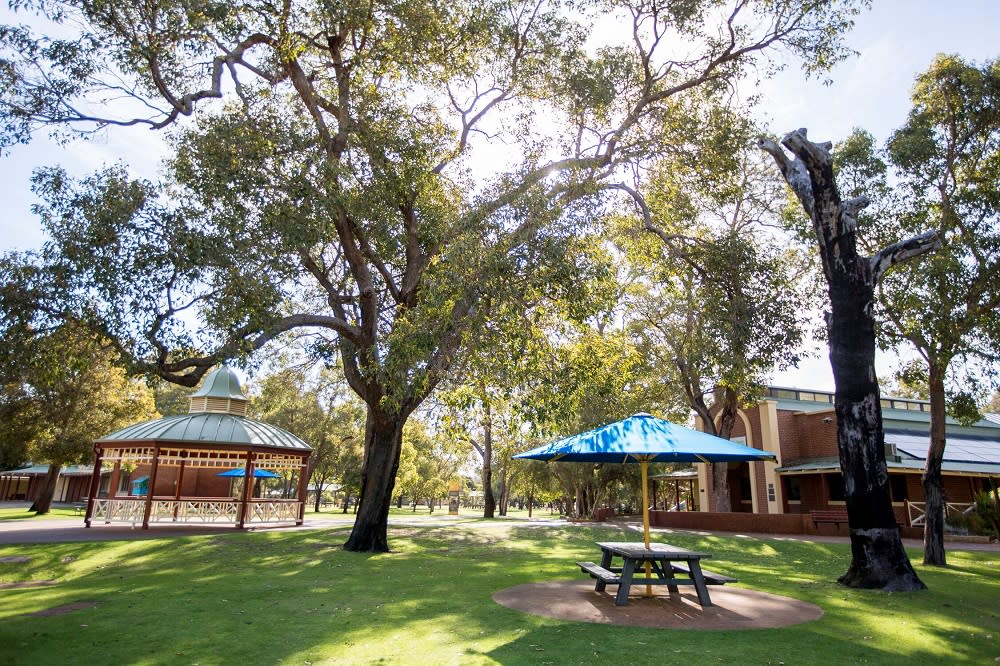 8 Unique Things To Do In Whiteman Park